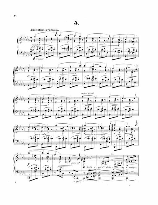 Ernst Rudorff Impromptu Variations Cadenzas Etudes sheet music